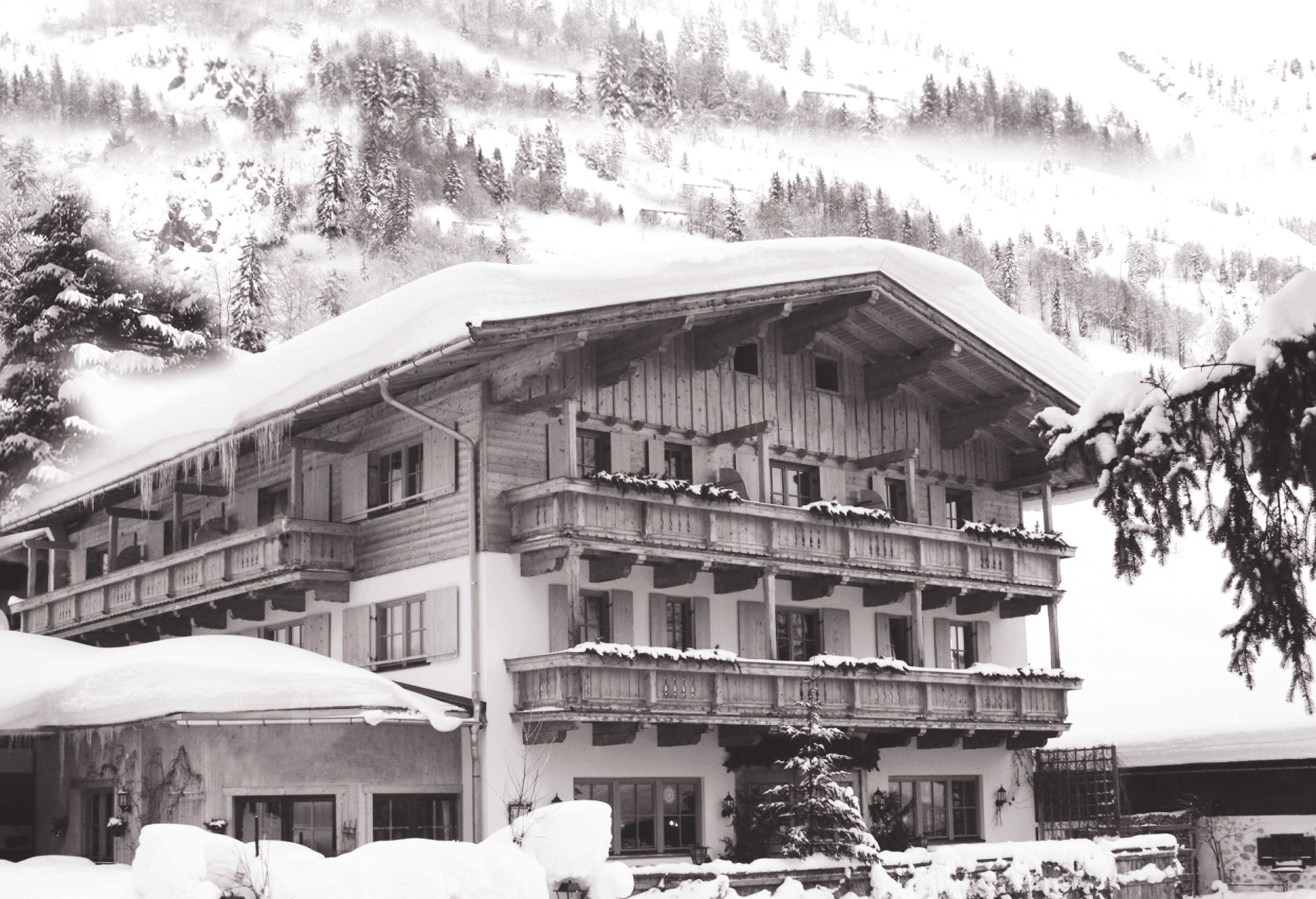 Официальный сайт компании GERMAN GRASS